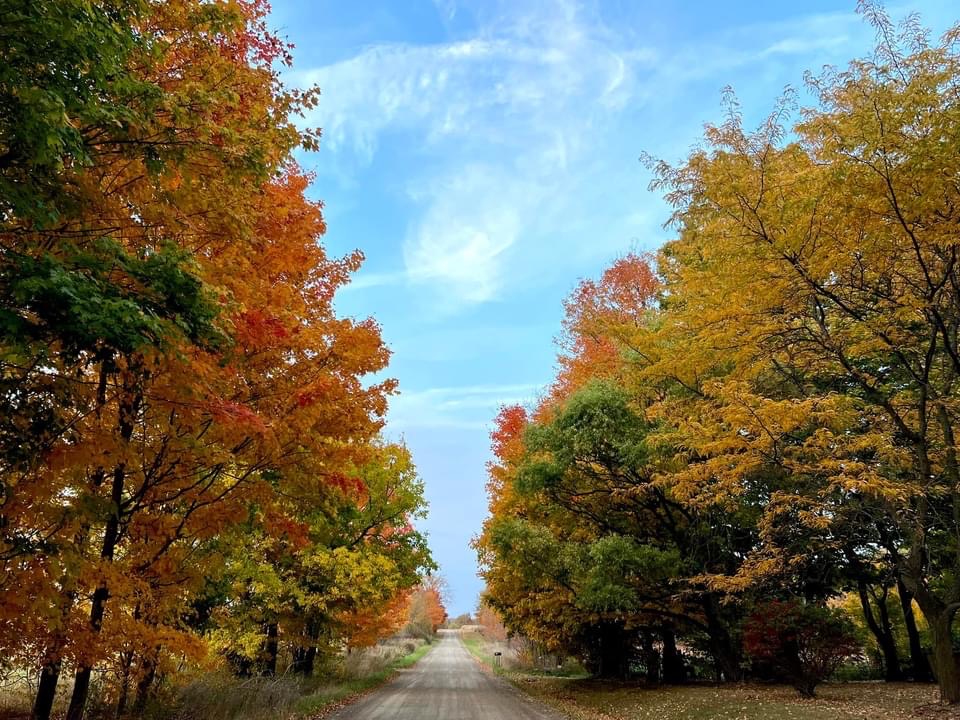 The Memories of a Road – Back Road Ramblings