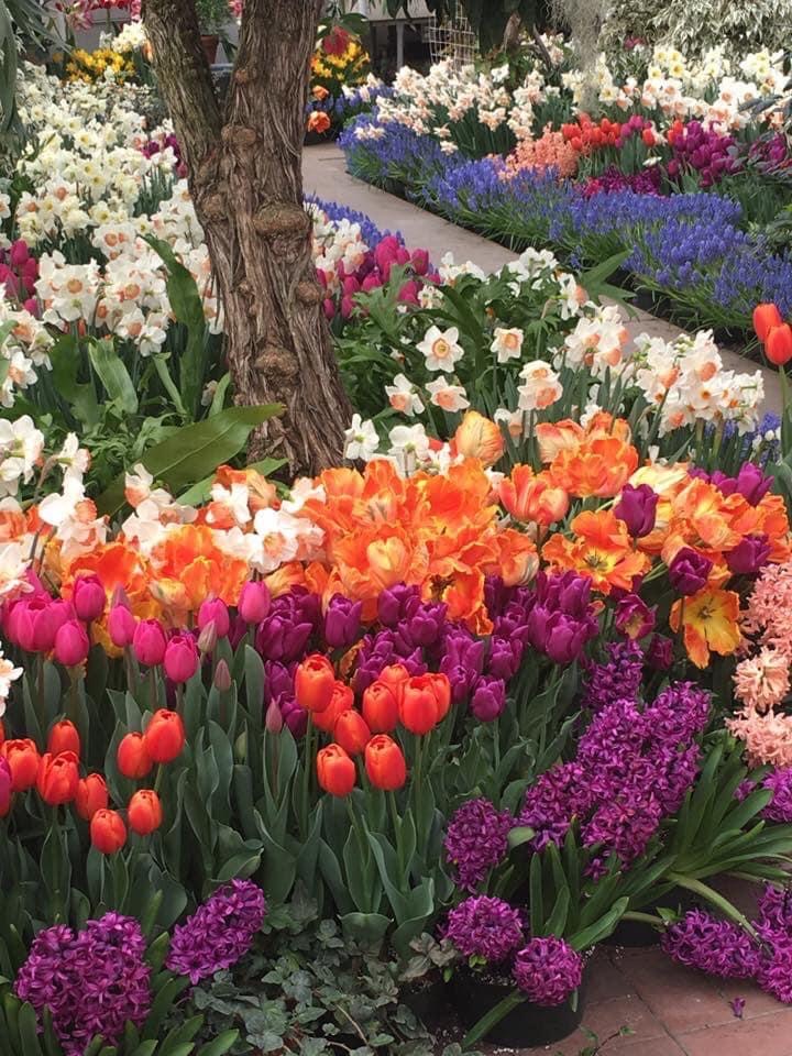 The Gardener – Back Road Ramblings